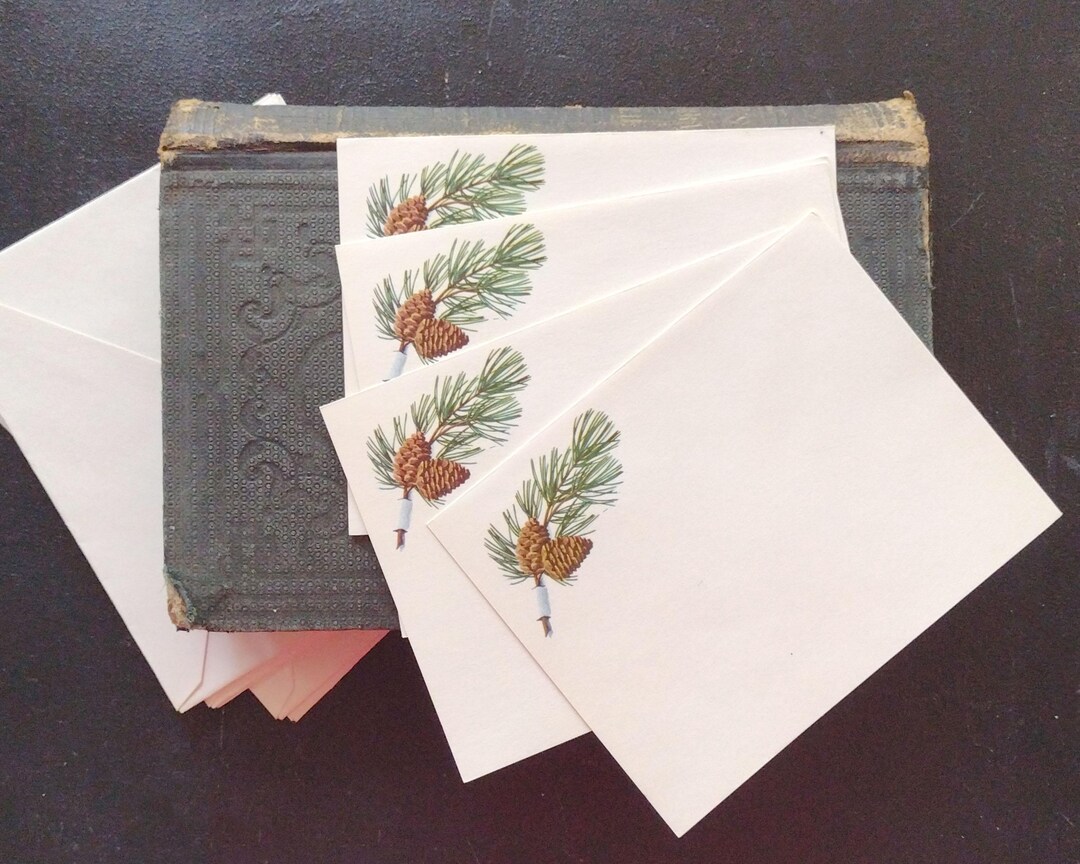 Lot of 5 Vintage Note Cards Blank Cards Pine Cones - Etsy