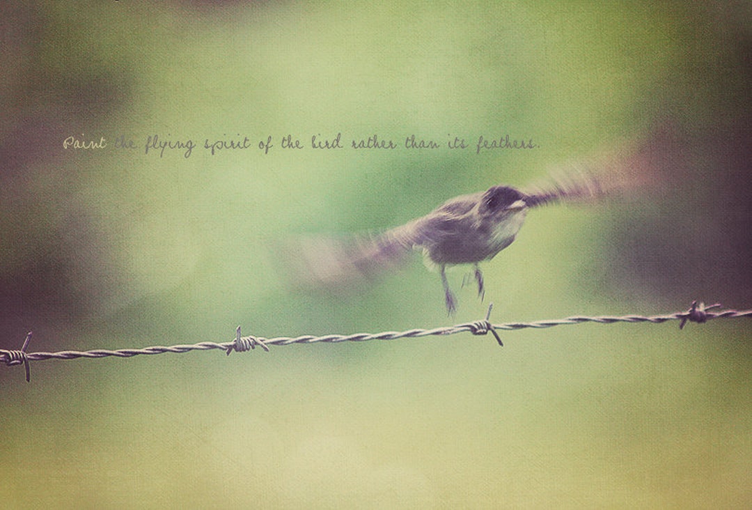 Bird Fluttering, Bird Flying, Flying Bird, Fluttering Bird, Typography ...