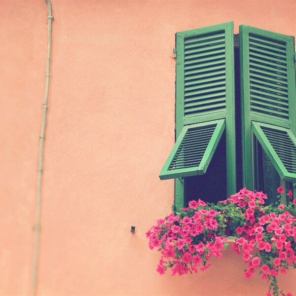 Window Shutters - Etsy