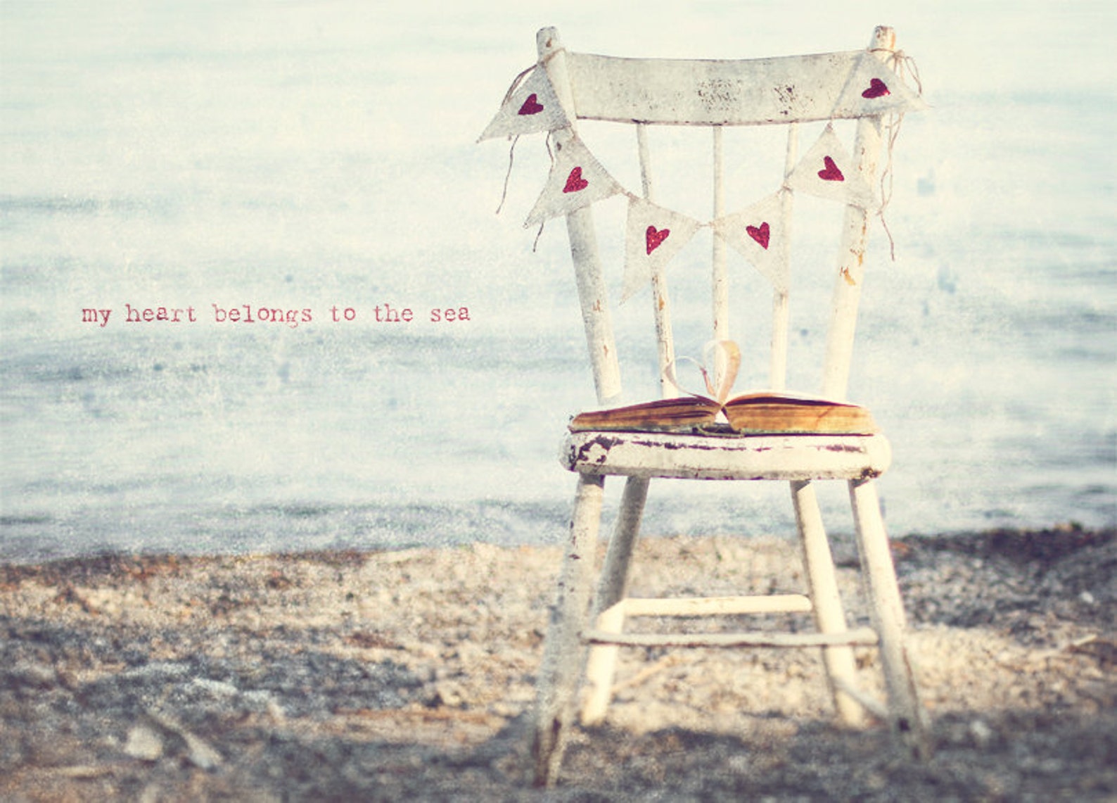 Sea Lover, Ocean Lover, Beach Lover, Typography Photo, Beach Gift, Girl ...