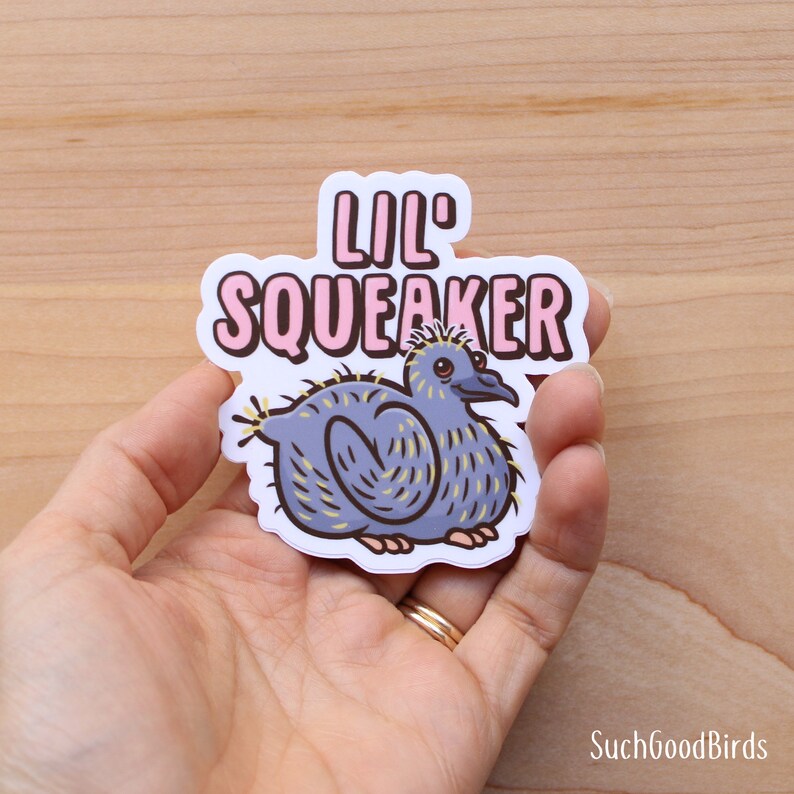 Baby Pigeon "little Squeaker" - 3" Vinyl Sticker - Benefitting Wild ...