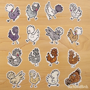Silkie Chicken - "silkie Smooth" White Hen - 3" Vinyl Sticker - Bird ...