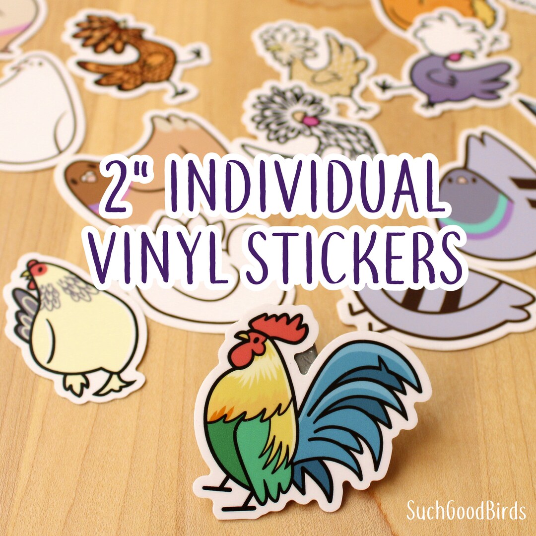 Birds Vinyl Stickers 25 Designs to Choose From 2 Waterproof Vinyl ...