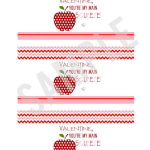 INSTANT DOWNLOAD VALENTINE, Main Squeeze Applesauce Labels, Pink and ...