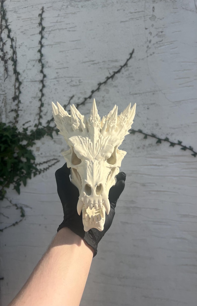 Ancient Dragon Skull | Gothic Fantasy Bone Decor - Etsy