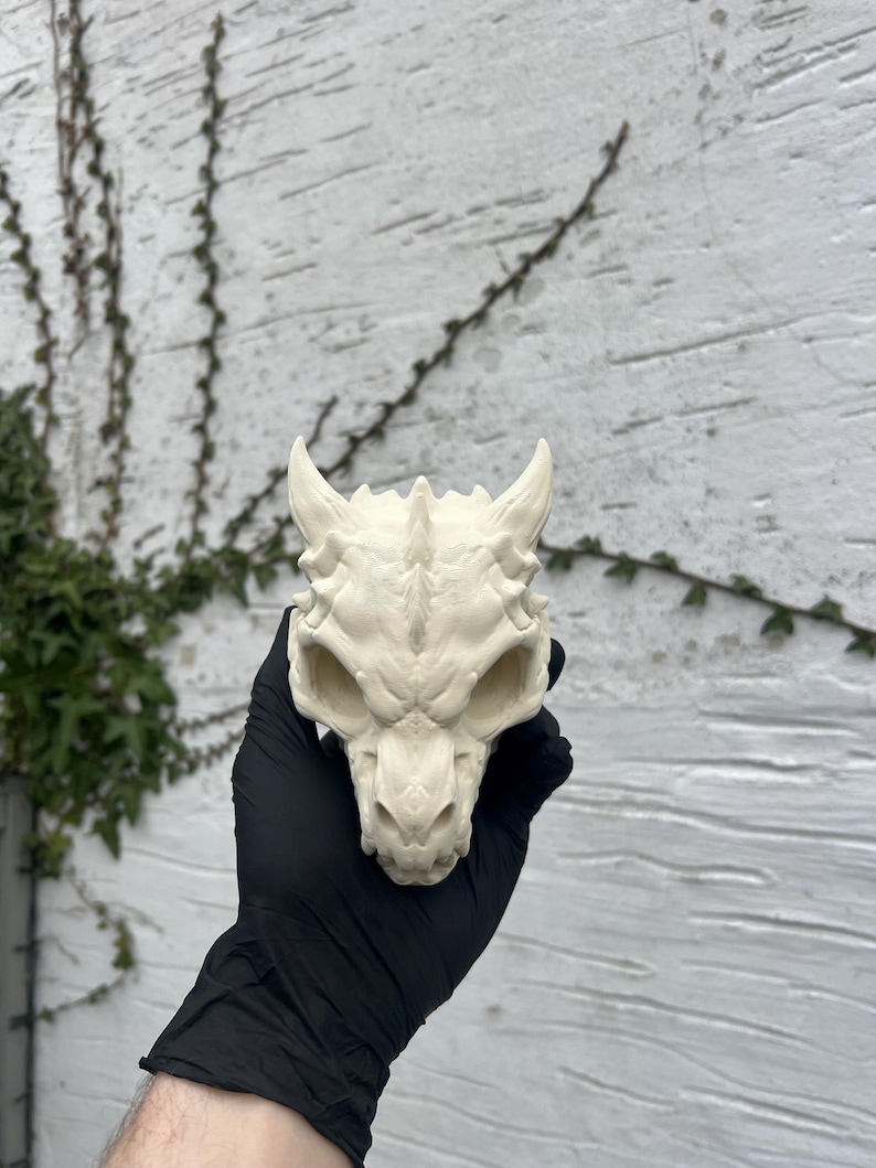 Baby Dragon Skull | Fantasy Bone Decor | Mini Gothic Dragon Relic - Etsy