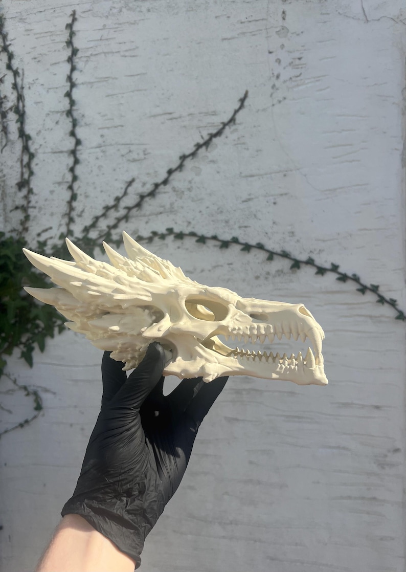 Ancient Dragon Skull | Gothic Fantasy Bone Decor - Etsy