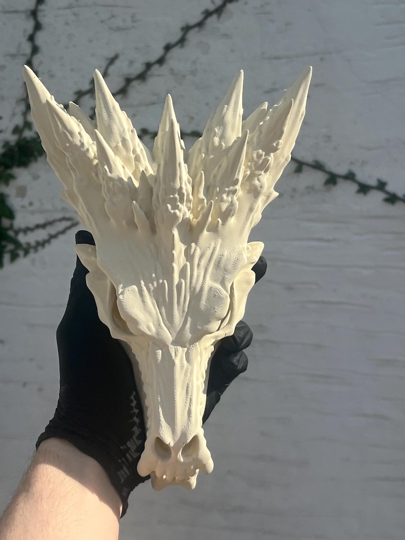 Ancient Dragon Skull | Gothic Fantasy Bone Decor - Etsy