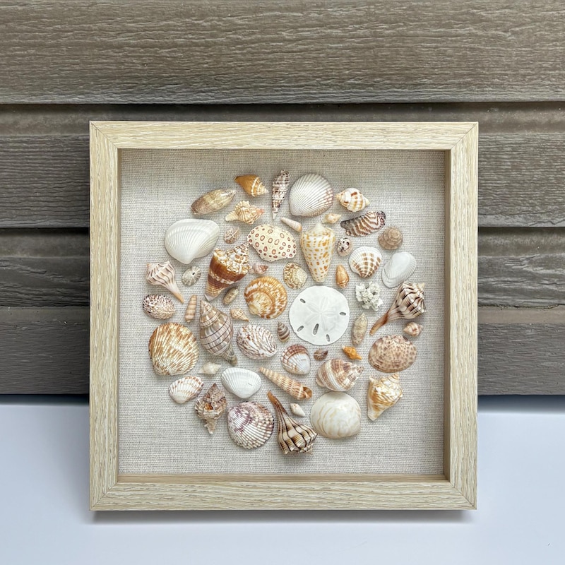 Sanibel Shell Wall Art - Etsy