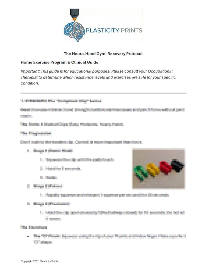 The Neuro-hand Gym: Recovery Protocol - Etsy
