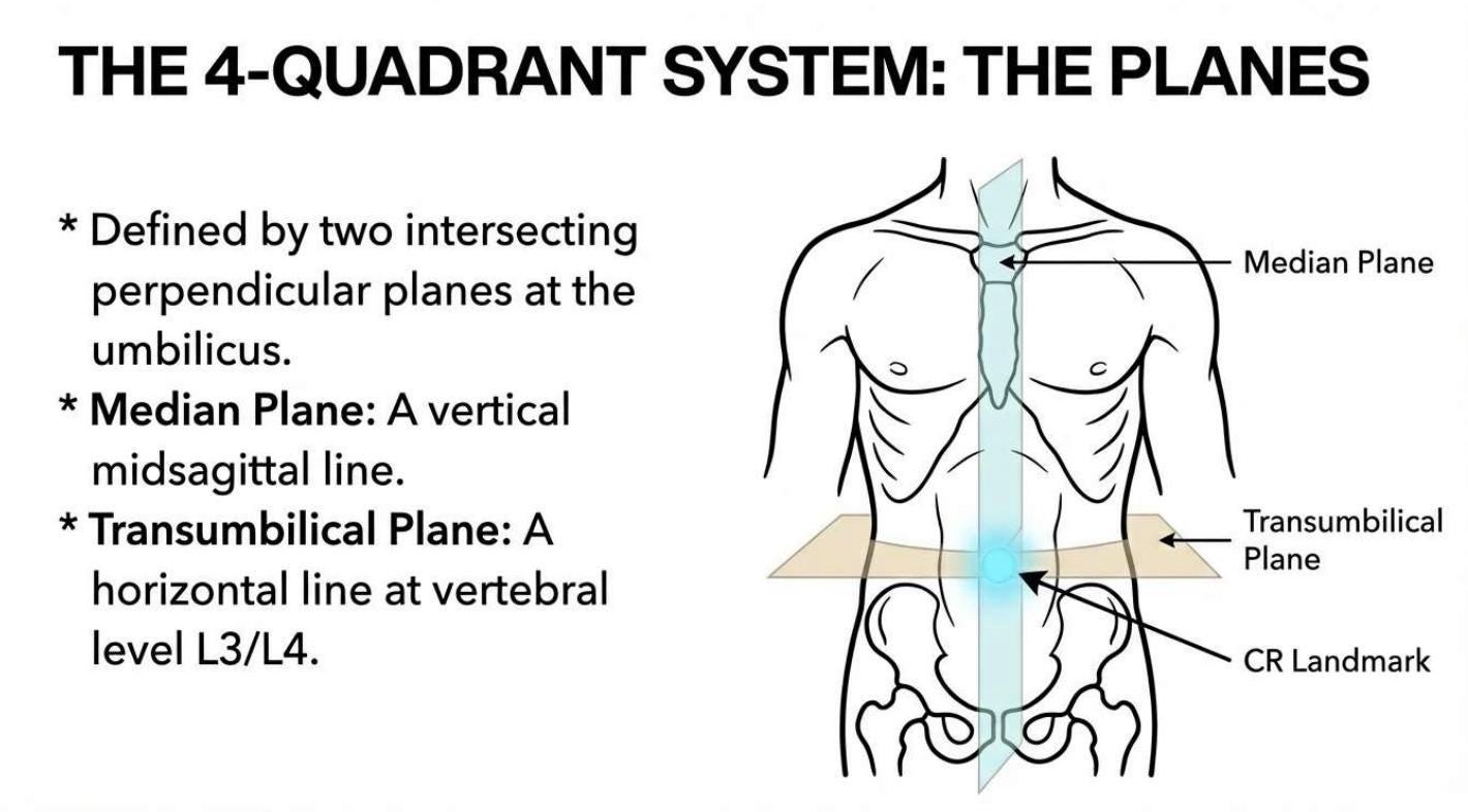 X-ray Positioning & Anatomy Study BUNDLE 2026 | Rad Tech Student PDF ...