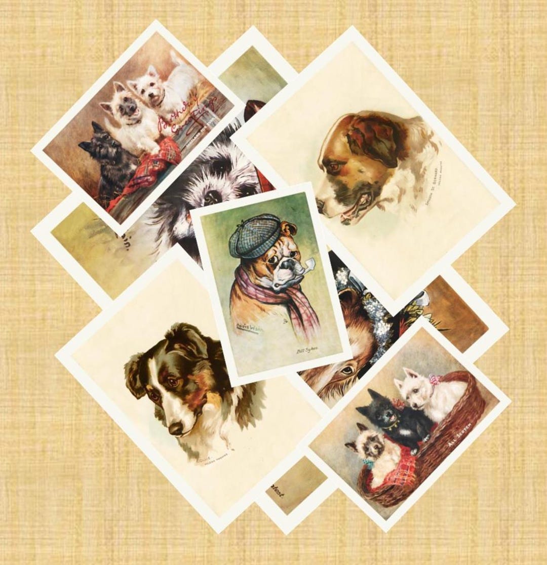 Vintage Dog Postcards Set of 15 | Portraits, Dressed Dogs, Puppies - Etsy