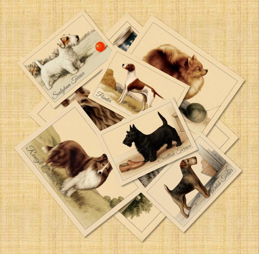Vintage Dog Breed Postcards Set of 25 No 1 | Classic Canine ...