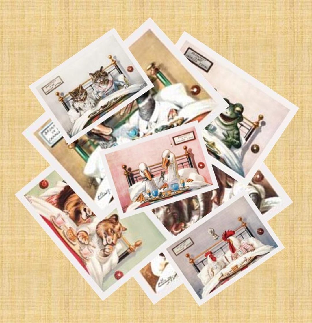 Vintage Animal Postcards Set of 20 | Humorous Illustrated Series - Etsy
