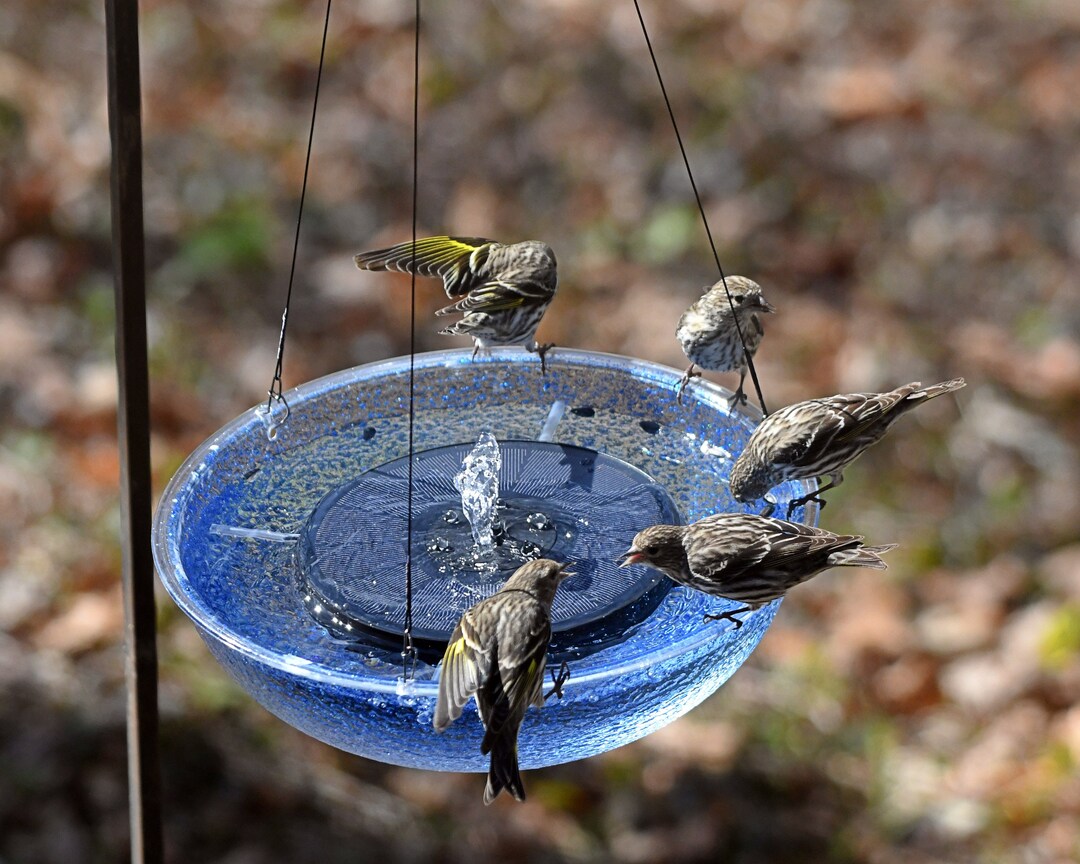 Hanging Solar Bubbling Lighted Water Fountain, Completely Solar Powered ...