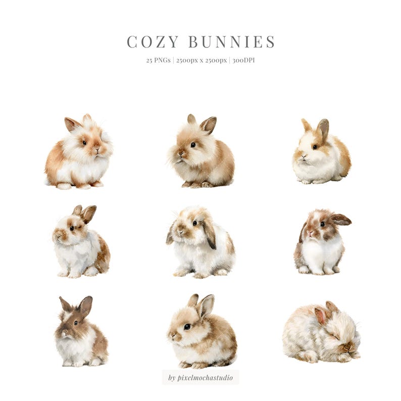 Cozy Bunnies Clip Art Set | Bunny & Flowers PNG Illustrations ...