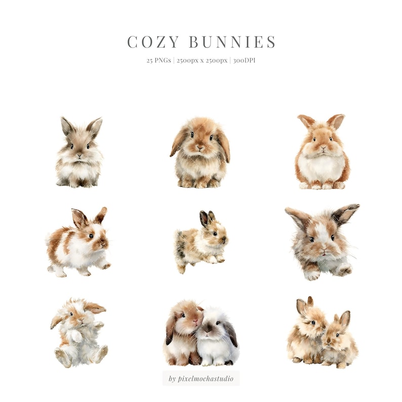 Cozy Bunnies Clip Art Set | Bunny & Flowers PNG Illustrations ...