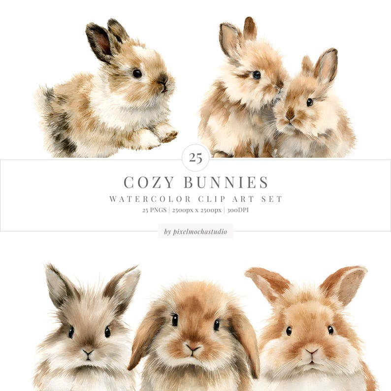 Cozy Bunnies Clip Art Set | Bunny & Flowers PNG Illustrations ...