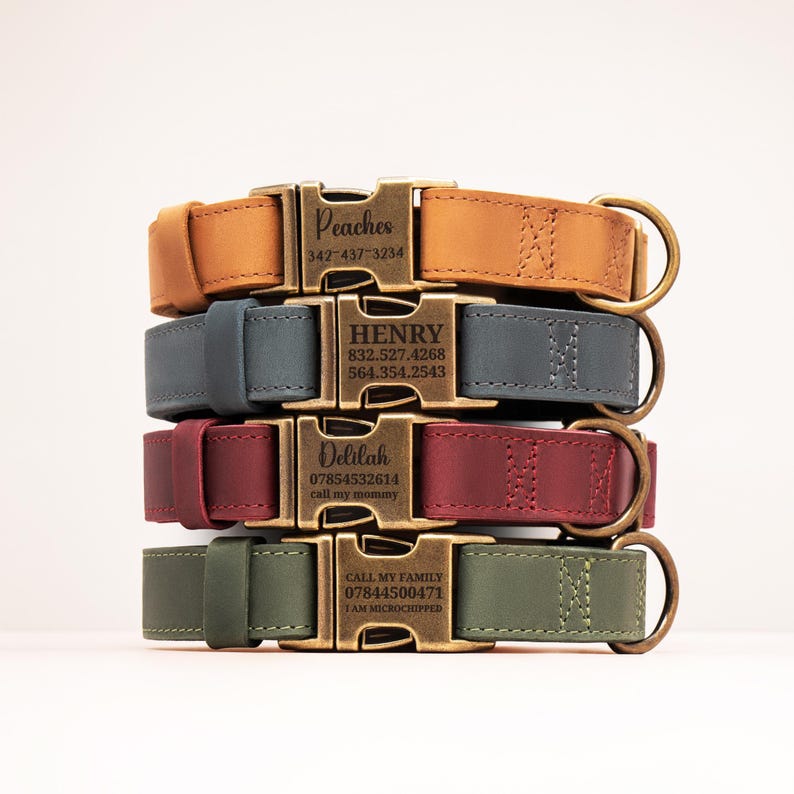Personalized Dog Collar, Leather Pet Collars, Dog Accessories, Brass ...