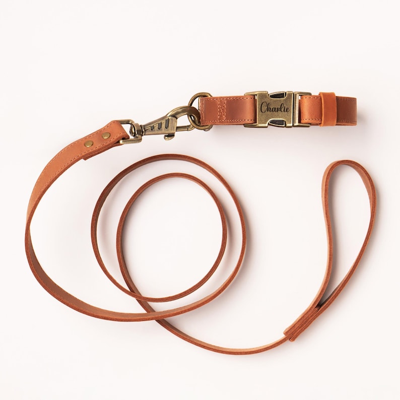 Personalized Dog Collar, Leather Pet Collars, Dog Accessories, Brass ...