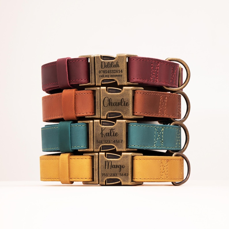 Personalized Dog Collar, Leather Pet Collars, Dog Accessories, Brass ...