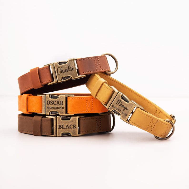 Personalized Dog Collar, Leather Pet Collars, Dog Accessories, Brass ...