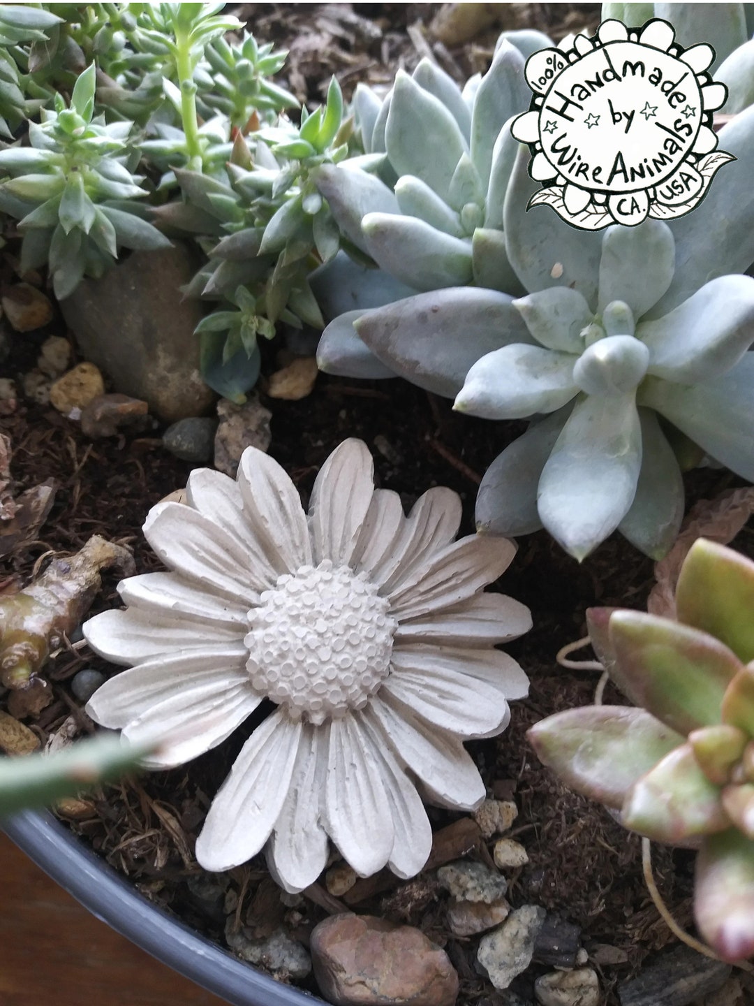 Concrete Daisies Set of Four Concrete Flowers Garden Ornaments, Plant ...