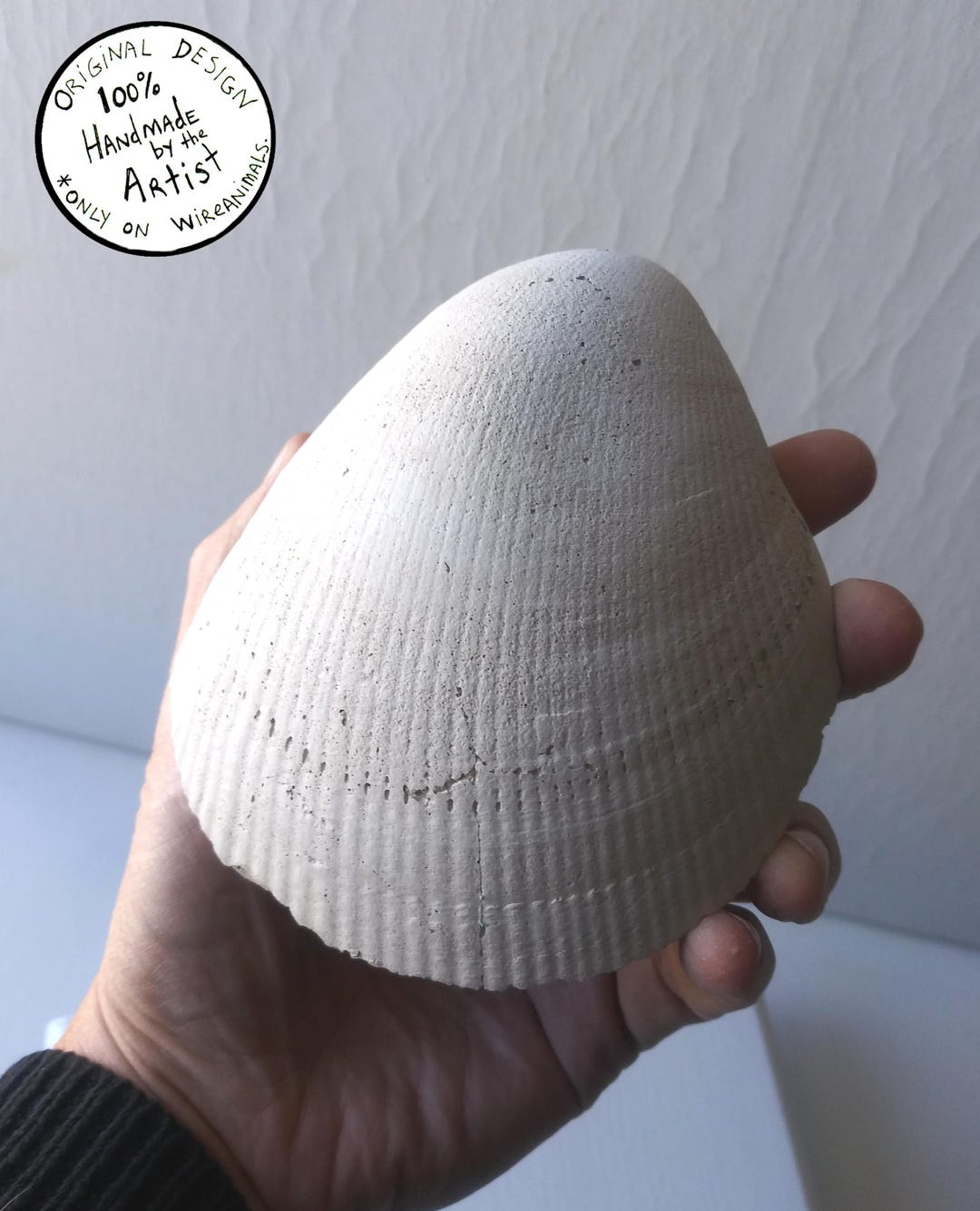 Large Clam Shell, Concrete Ocean Shell, Modern Art Contemporary Décor ...