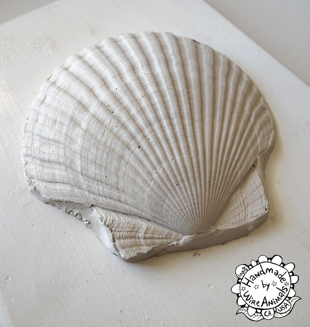 Large Concrete Scallop Shell, Sea Shell, Modern Art Contemporary Décor ...