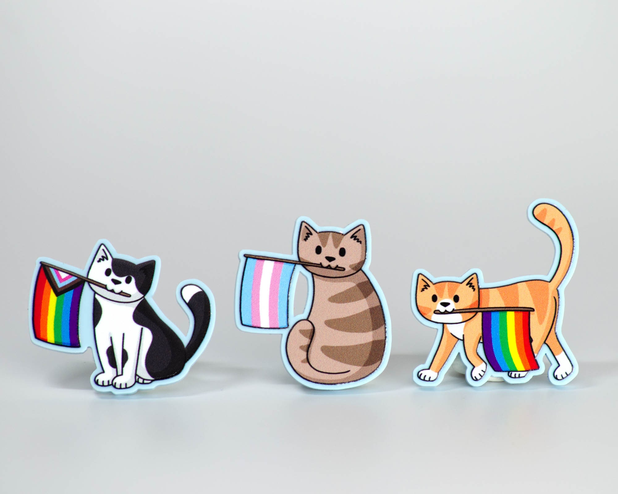 Pride Flag Cat Acrylic Pin Pride Rainbow / Progress / - Etsy UK