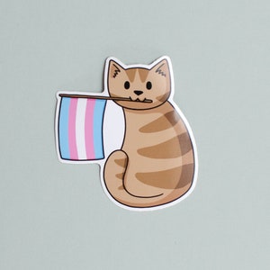 Pride Flag Cat - Vinyl Sticker - Pride Rainbow / Progress / Trans / Ace ...