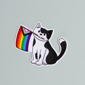 Pride Flag Cat - Vinyl Sticker - Pride Rainbow / Progress / Trans / Ace ...