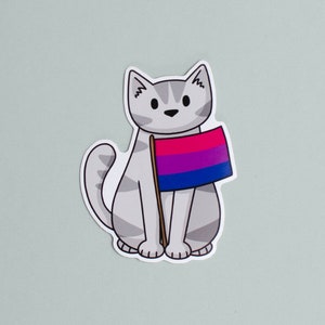 Pride Flag Cat - Vinyl Sticker - Pride Rainbow / Progress / Trans / Ace ...