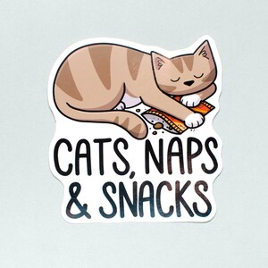 Cat Stickers - Vinyl Sticker - Positivity Cat Cats Kitten - Etsy