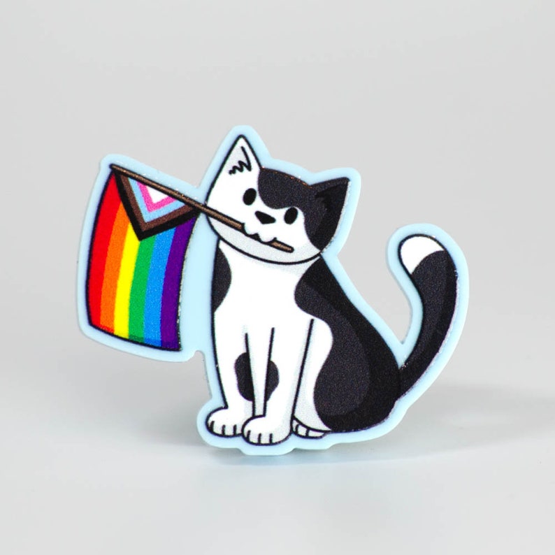 Pride Flag Cat Acrylic Pin Pride Rainbow / Progress / - Etsy
