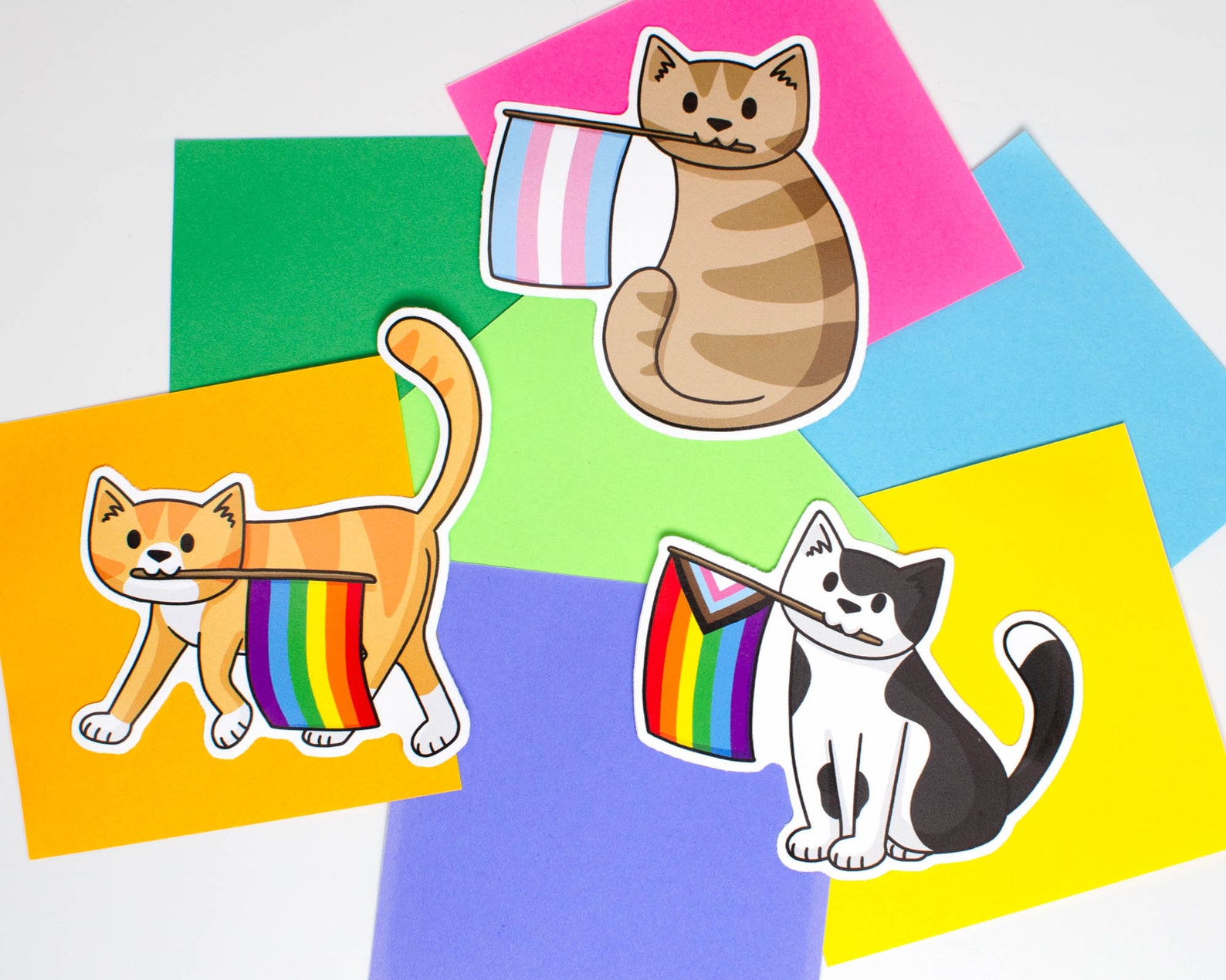 Pride Flag Cat Vinyl Sticker Pride Rainbow / Progress / - Etsy