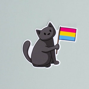 Pride Flag Cat - Vinyl Sticker - Pride Rainbow / Progress / Trans / Ace ...