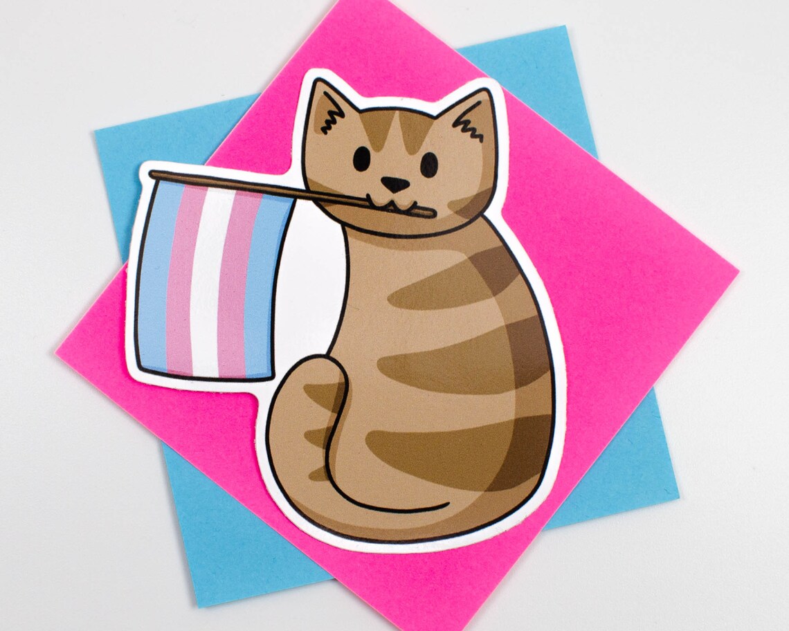 Pride Flag Cat Vinyl Sticker Pride Rainbow / Progress / - Etsy