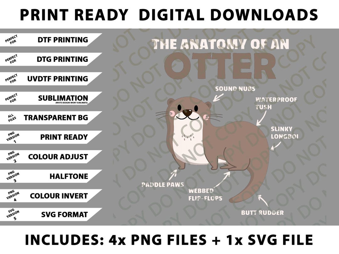 Cute Otter Explanation Anatomy of an Otter Png Bundle, SVG Files ...