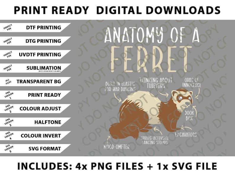 Anatomy of A Ferret Lover Wildlife Animal Ferret Owner Png Bundle, SVG ...