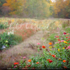 Everbloom Digital Photography Background- Spring Maternity Senior ...