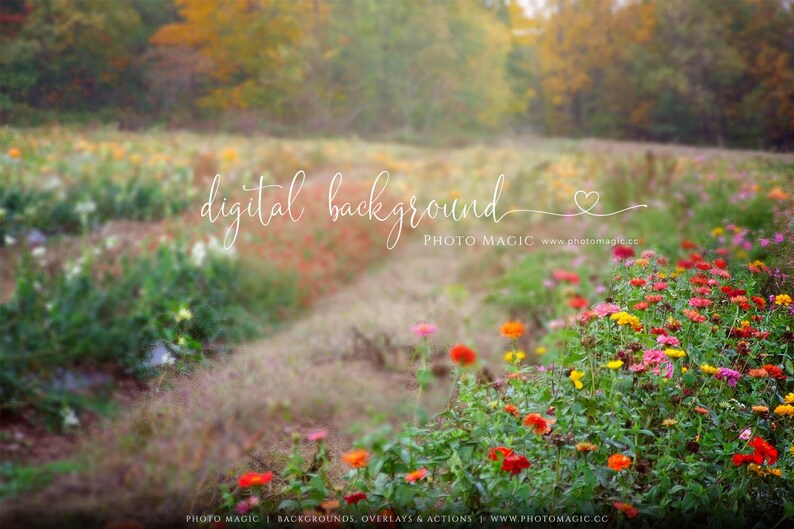 Everbloom Digital Photography Background Spring Maternity | Etsy