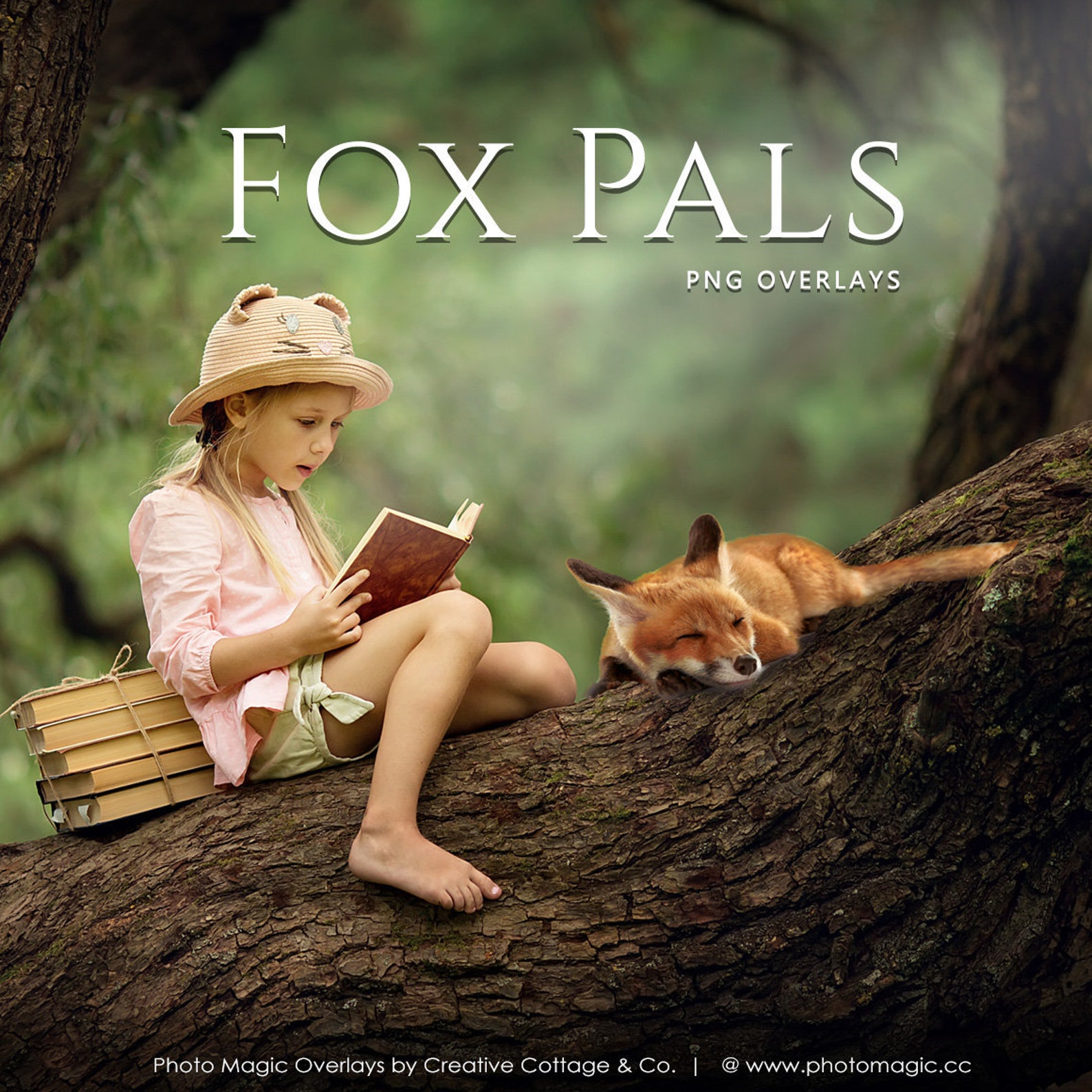 Fox Pals 14 Digital Fox PNG Overlays Digital Props for | Etsy