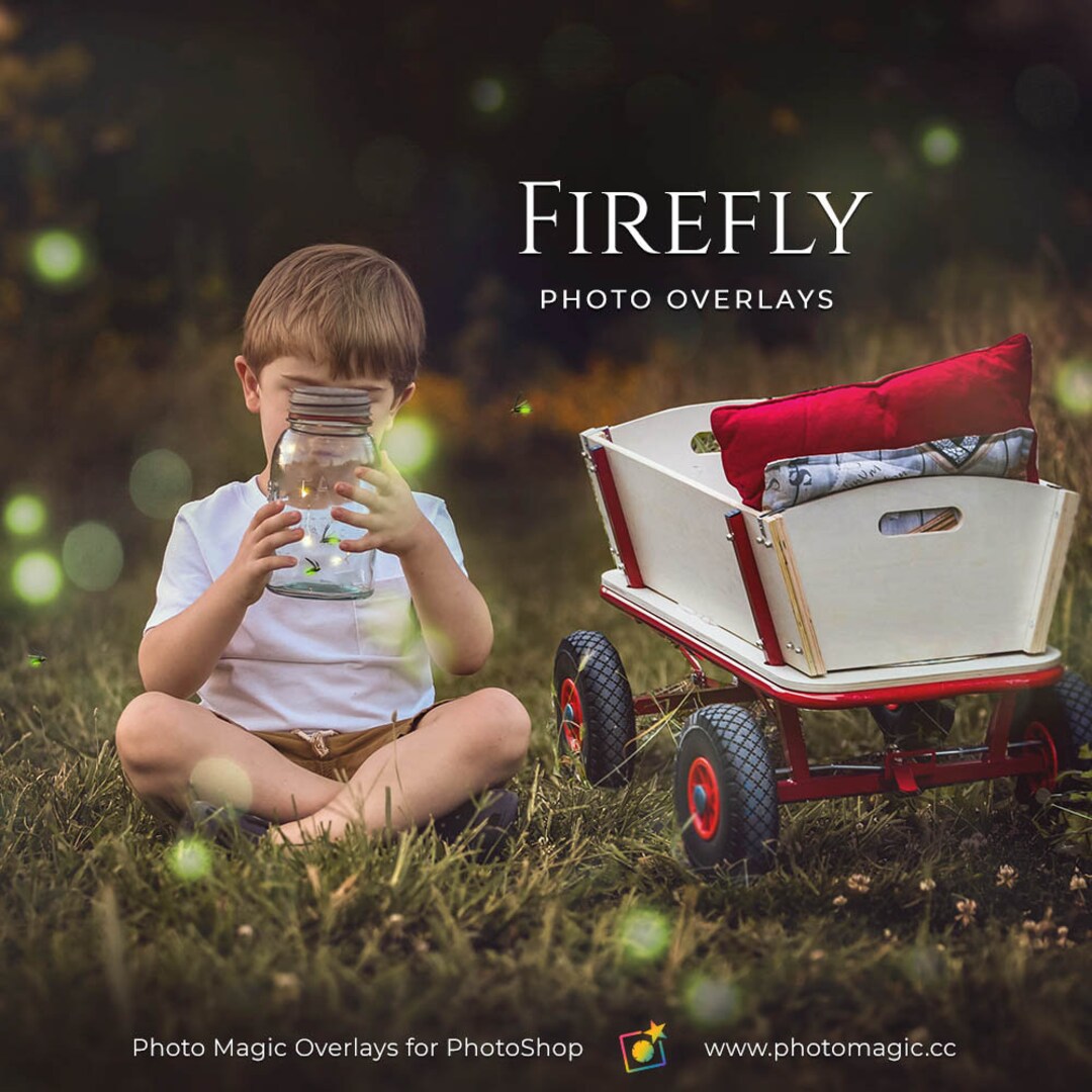 Fireflies- 10 Digital Firefly Bokeh and Bug PNG Overlays Digital Props ...