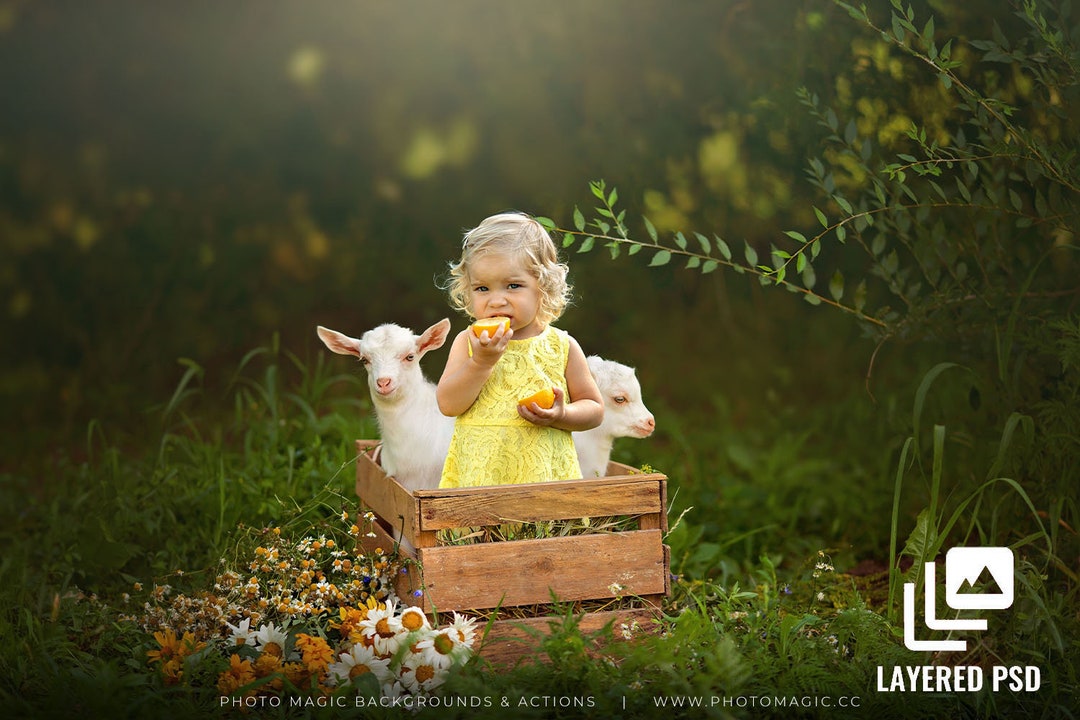 Spring Baby Goats- Layered PSD Easter Farm Animals Digital Photography ...