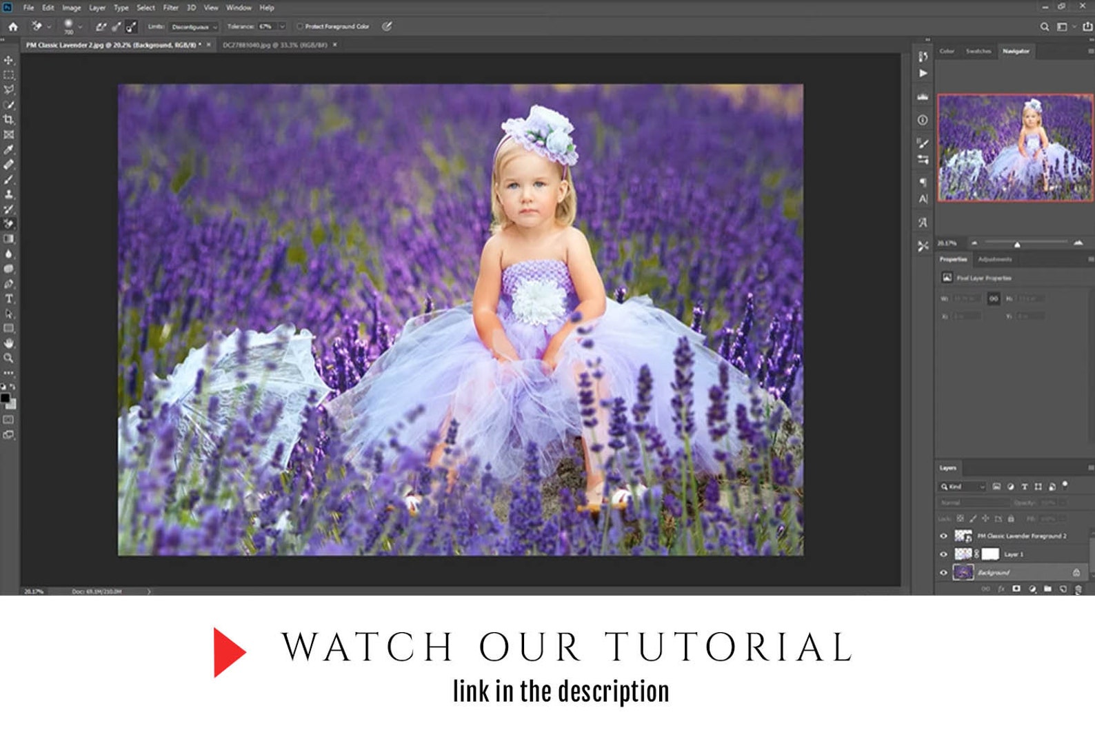 Lavender Field Pack 46 Lavender Overlays and Lavender Field Backdrops ...