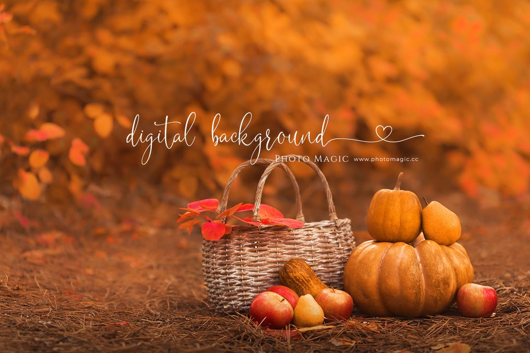 Fall Picnic in the Woods Digital Photography Background- Fall Autumn ...