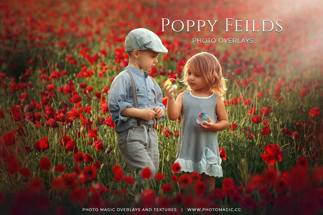 Poppy Field Pack- 26 Poppy Overlays and Poppy Field Backdrops for ...