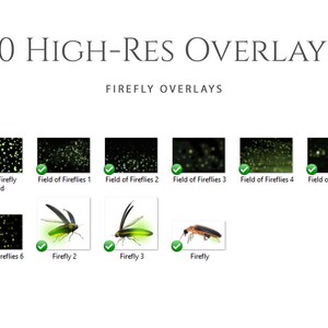 Fireflies- 10 Digital Firefly Bokeh and Bug PNG Overlays Digital Props ...