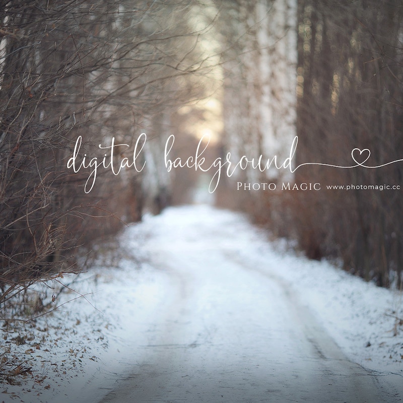 Winter Digital Backdrop - Etsy